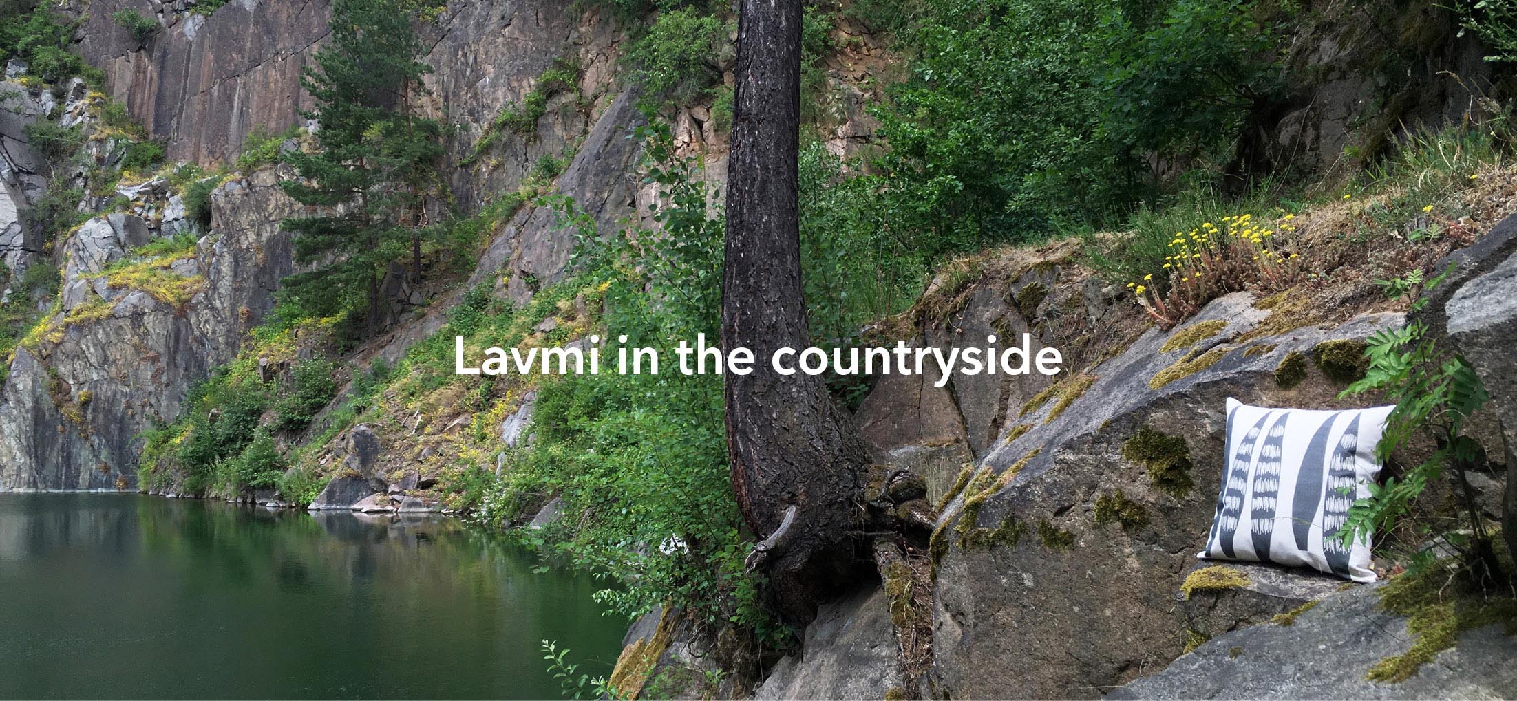 LAVMI